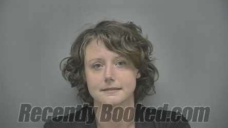 Recent Booking / Mugshot for Nichole Hiner in Vigo County, Indiana