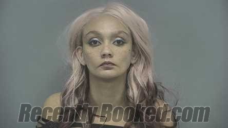 Recent Booking / Mugshot for Teannah S Harris in Vigo County, Indiana