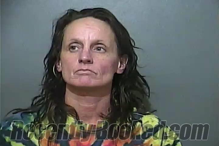 Recent Booking / Mugshot for Tracy Ann Howell-Adkins in Vigo County ...