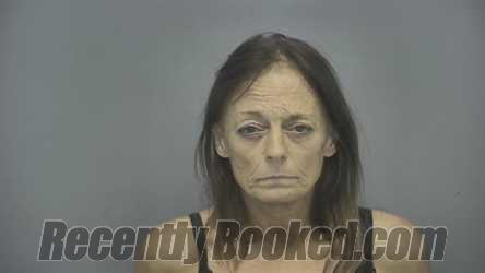 Recent Booking / Mugshot for Wendy Ann Henley in Vigo County, Indiana