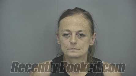 Wendy Ann Henley Mugshot & Arrest Info | Vigo County, IN