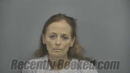 Recent Booking / Mugshot for Wendy Ann Henley in Vigo County, Indiana