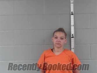 Recent Booking / Mugshot for Destiny Rose Barrett in Washington County ...