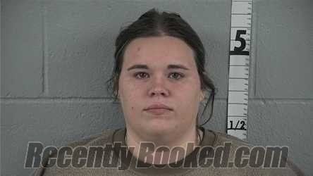 Recent Booking / Mugshot for ELIZABETH M JOHNSON in Washington County ...