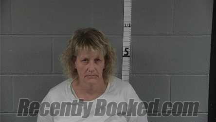 Recent Booking / Mugshot for LISA ANN SHULER in Washington County, Indiana