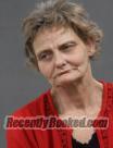 Recent Booking / Mugshot for TERRI L GILBERT in Wayne County, Indiana