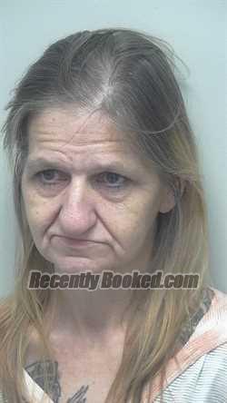 Recent Booking / Mugshot for MELISSA DIANE MOHAMED in Wells County, Indiana