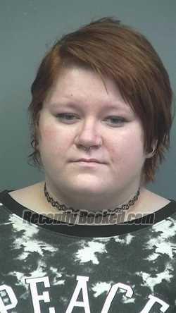 Recent Booking / Mugshot for Megan Maxine Hobson in Wells County, Indiana