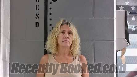 Recent Booking / Mugshot for CAROL OWENS in White County, Indiana