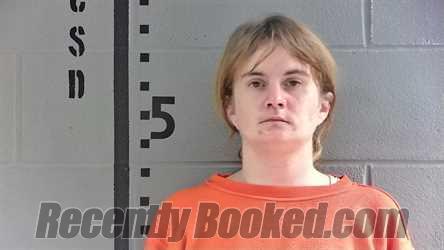 Recent Booking / Mugshot for ALEXIS SELLERS in White County, Indiana