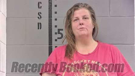 SHANNON WHITMORE Arrest Record & Booking Info – White County, Indiana ...