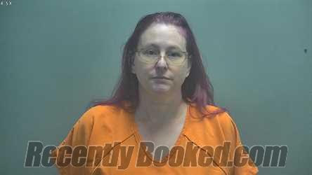 Recent Booking / Mugshot for ERICA LYNN GRUBER in Whitley County, Indiana