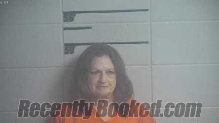 Recent Booking / Mugshot for BETH ANN EDWARDS in Adair County, Kentucky