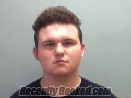 Recent Booking / Mugshot for ALEXANDER MICHAEL BRIGMAN in Lee County ...