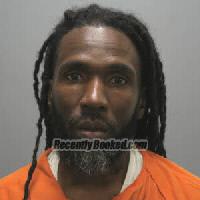 Recent Booking / Mugshot for DOMINIC DEMETRIUS TURNAGE in Lee County ...