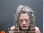 Recent Booking / Mugshot for ROBIN MICHELLE MOTE in Lee County, North ...