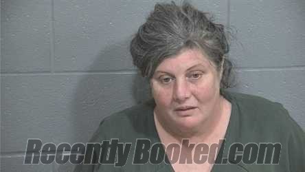 Recent Booking / Mugshot for SHELLY SUZANNE HORNE in Barren County ...