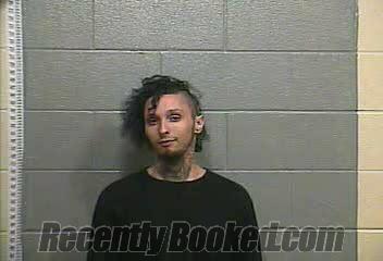 Recent Booking / Mugshot for GAVIN DAVID MARTEL BALLARD in Barren ...