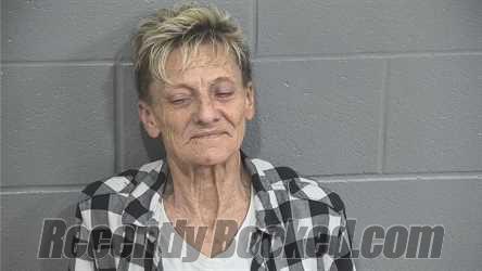 Recent Booking / Mugshot for SHEENA MAE WILSON in Barren County, Kentucky