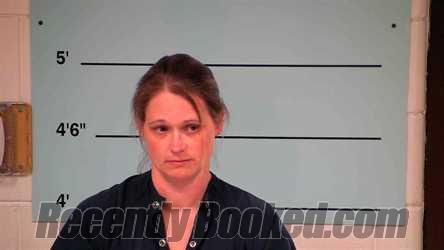 Recent Booking / Mugshot for JILL STAPLETON in Bourbon County, Kentucky