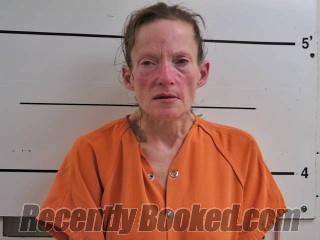 Recent Booking / Mugshot for LISA ANN DEMENT in Boyd County, Kentucky