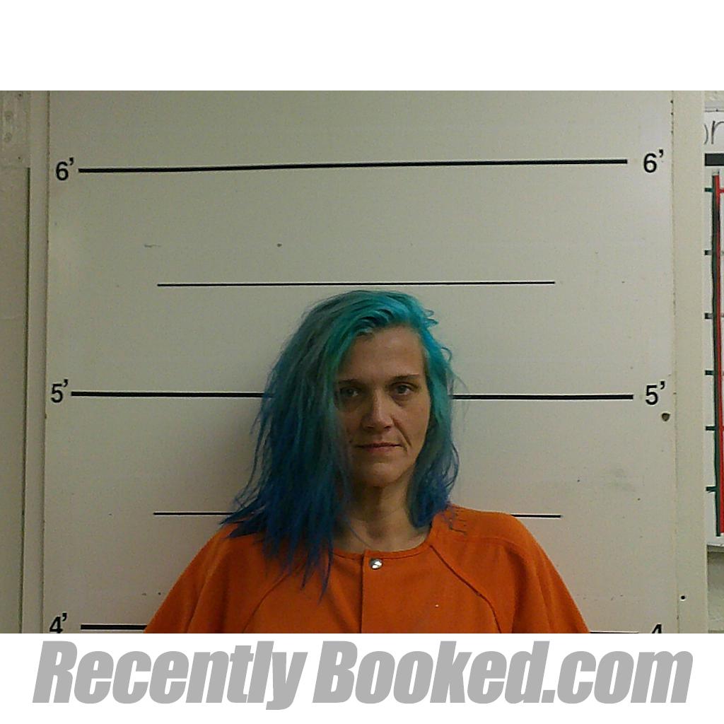 Recent Booking / Mugshot for ANNETTE LOUISE KIRK in Boyd County, Kentucky
