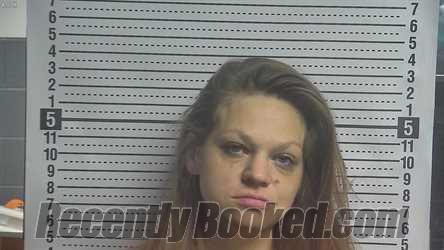 Recent Booking / Mugshot for ALISA LYNN COX in Boyle County, Kentucky