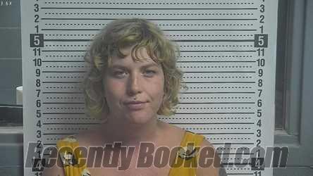 Recent Booking / Mugshot for ABIGAIL EVE MCADAMS in Boyle County, Kentucky