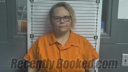 Recent Booking / Mugshot for CARRIE LYNN TIMMONS in Boyle County, Kentucky