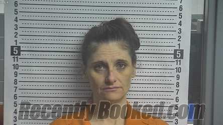 Recent Booking / Mugshot for JESSICA ROSE WHITAKER in Boyle County ...