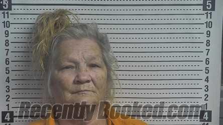 Recent Booking / Mugshot for LESHA ANN CORNETT in Boyle County, Kentucky