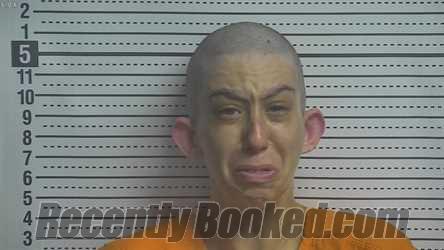 Recent Booking / Mugshot for TIFFANY TAYLOR in Boyle County, Kentucky