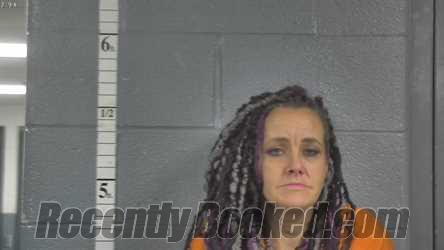 Recent Booking / Mugshot for JESSICA SARA MEREDITH in Bullitt County ...
