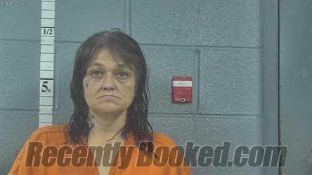 Recent Booking / Mugshot for TONYA SUE WRIGHT in Bullitt County, Kentucky