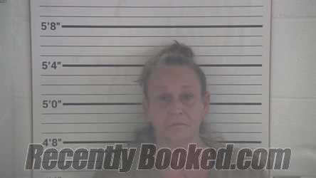 Recent Booking / Mugshot for LENA MICHELLE HESTER in Campbell County ...