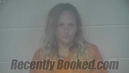 Recent Booking / Mugshot for BRITTANY BRAY in Carroll County, Kentucky