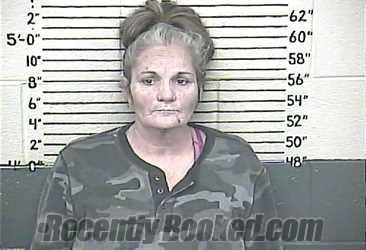 Recent Booking / Mugshot for MARSHA F JORDAN- BROMWELL in Carter County ...