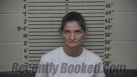 Recent Booking / Mugshot for STEPHANIE D. VANNATTER in Carter County ...
