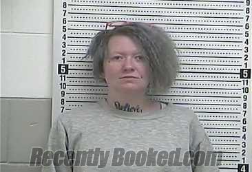 Recent Booking / Mugshot for AMBER D CONRAD in Casey County, Kentucky