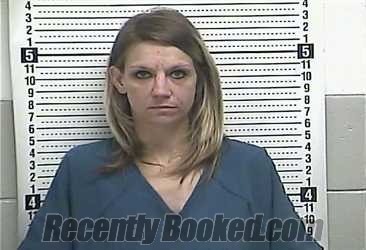 Recent Booking / Mugshot for ANGELA R CRANK in Casey County, Kentucky