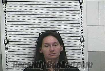 Recent Booking / Mugshot for AMANDA G TOOLE in Casey County, Kentucky