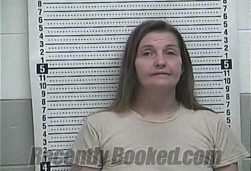 Recent Booking / Mugshot for CRYSTAL ANN SMILEY in Casey County, Kentucky