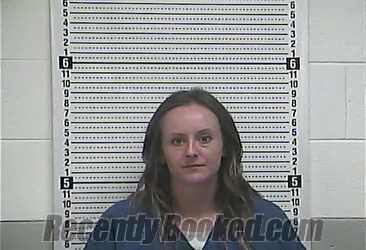 Recent Booking / Mugshot for HOPE E WILKEY in Casey County, Kentucky