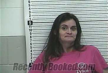 Recent Booking / Mugshot for SARAH L TAYLOR in Casey County, Kentucky