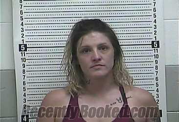 Recent Booking / Mugshot for TAWNI LEE BARTRAM in Casey County, Kentucky