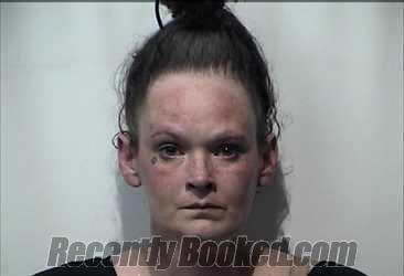 Recent Booking / Mugshot for MALLORY ANN YOUNG in Christian County ...
