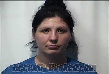 Recent Booking / Mugshot for ASHLEY LASHEA PUTTY in Christian County ...