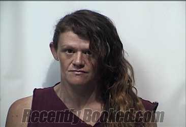 Recent Booking / Mugshot for HEATHER LORENE SMITH in Christian County ...