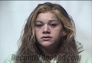 Recent Booking / Mugshot for BETHANY MARIE TURLEY in Christian County ...