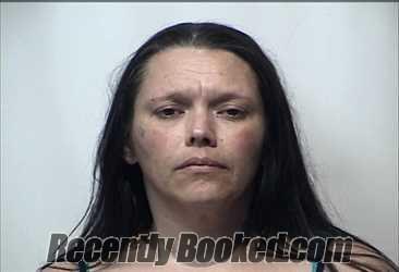 Recent Booking / Mugshot for RACHEL MICHELLE PHILLIPS in Christian ...